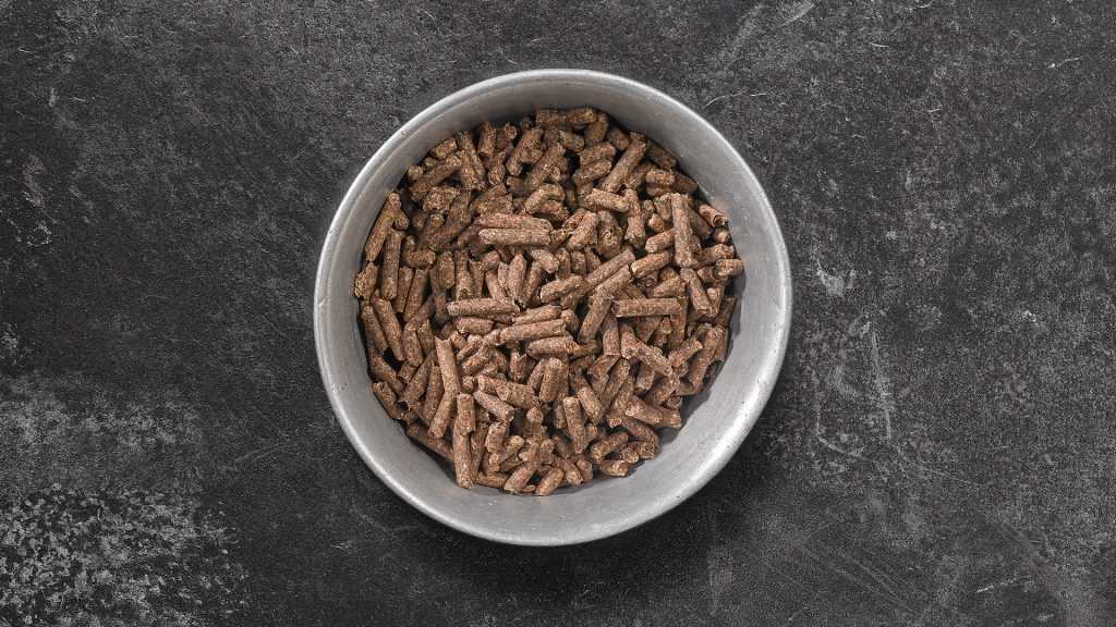 Südzucker beet pulp pellets - QS-certified & available in organic quality