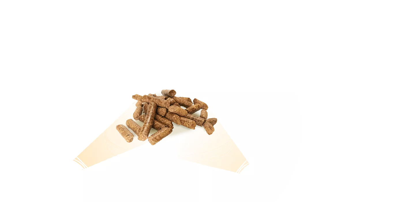 Sugar-based animal feed: beet molasses, sugar beet pulp